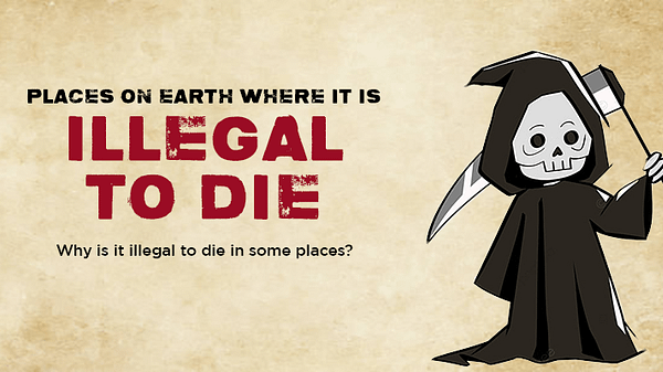 The N844AA — The Boeing 727 That Vanished - Morbid Curiosity