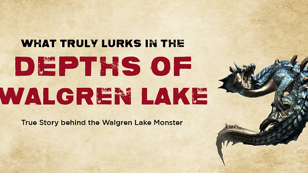 The N844AA — The Boeing 727 That Vanished - Morbid Curiosity